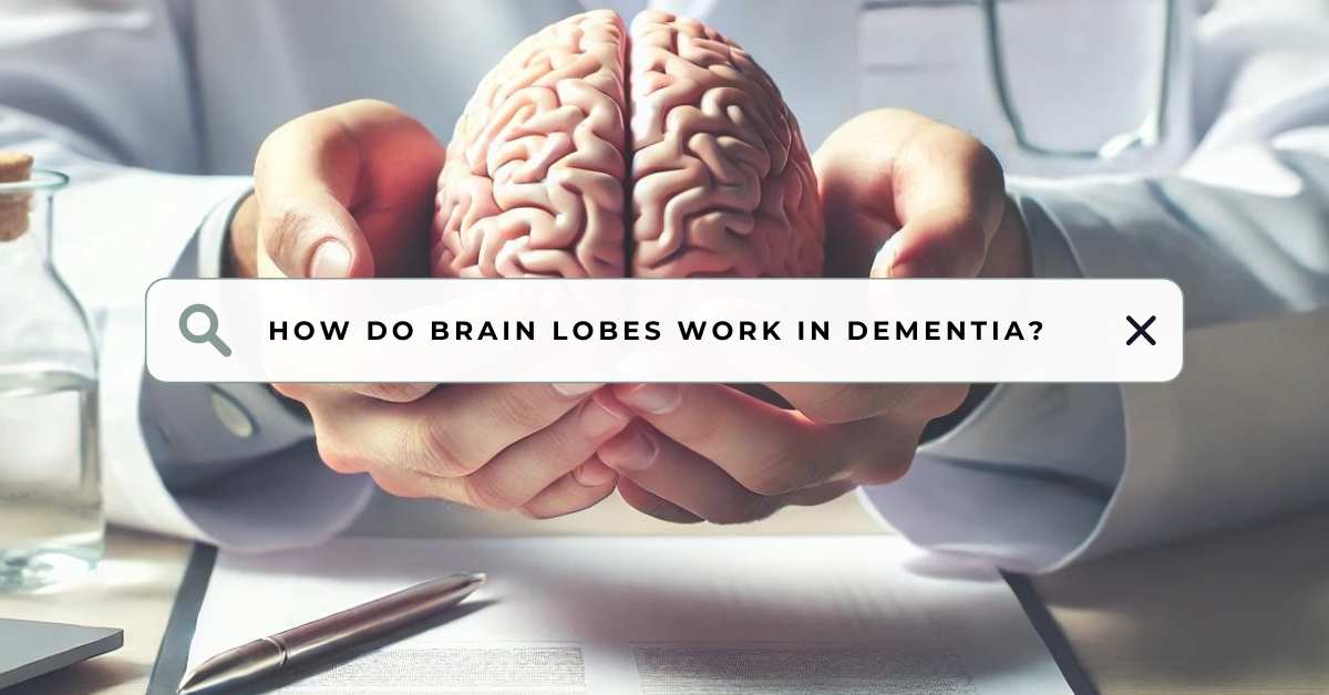 What Are The Lobes Of The Brain (Dementia Edition) | Dementia Careblazers